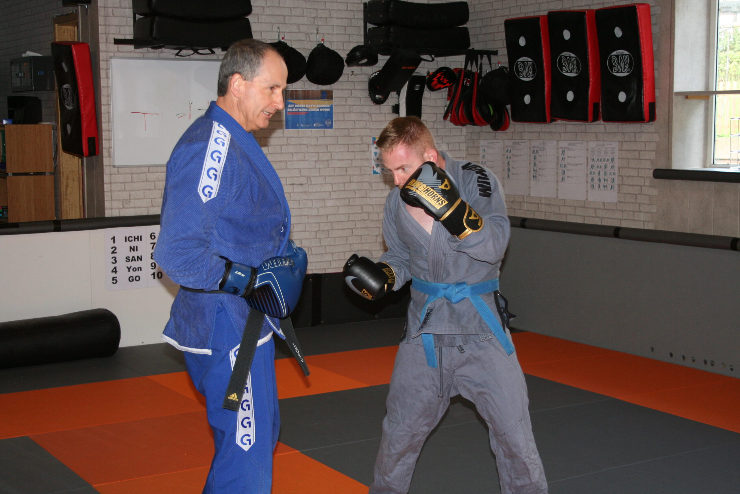 Ju-Jutsu Sonntags-Training - Ju-Jutsu Sehnde